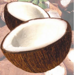 JUNINA FUZUÊ: FuzuÊ explica a origem do coco.