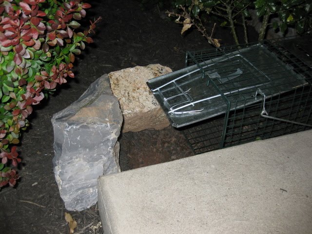 DigiCrumbs: Trapping a Groundhog Successfully!