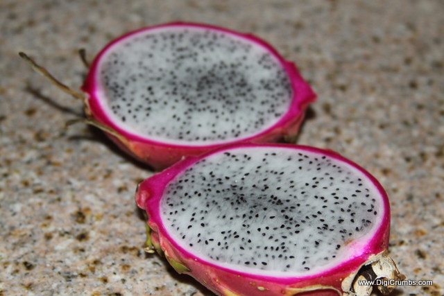 DigiCrumbs: Dragon Fruit – Farmers Market Find