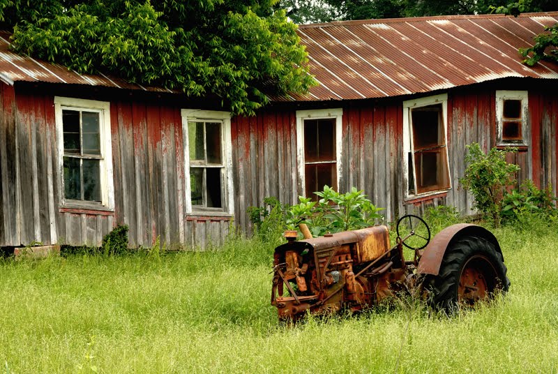 Landscape & Nature Scenes: Remembering the Old Days