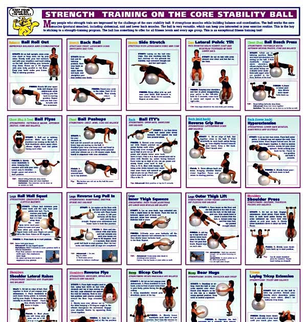 Preparazione Atletica Rugby: CORE STABILITY - SWISS BALL