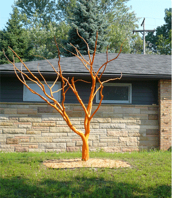 Painted trees_garden art | BLOSSOM ZINE BLOG