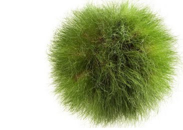 grass ball_ORB | BLOSSOM ZINE BLOG