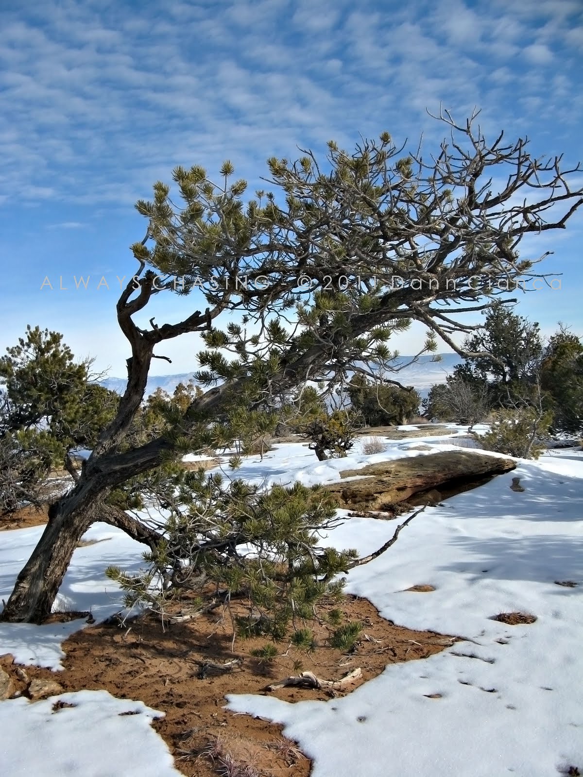 ALWAYS CHASING / BIG SKY CONVECTION BLOG: 2011 - January 15th ...