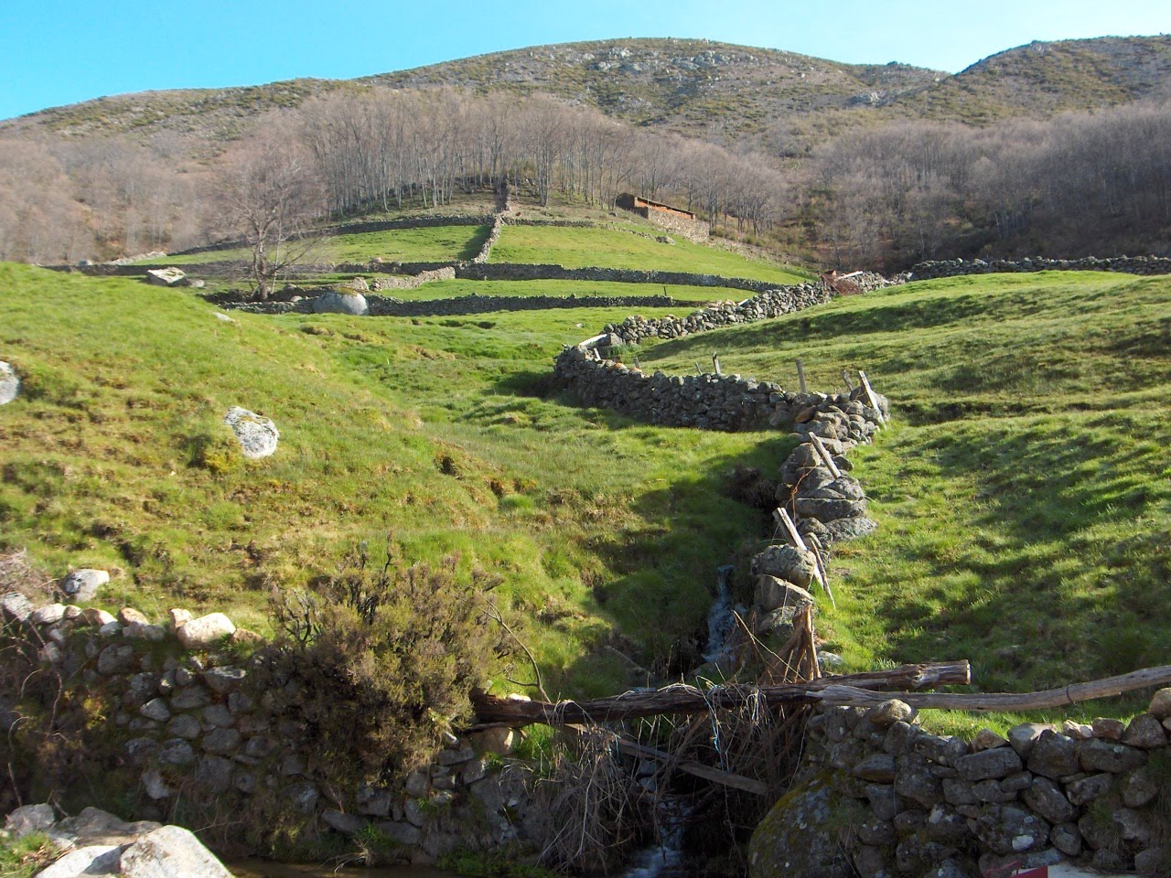 Guijo de Santa Bárbara: Fotografías de la primavera de 2010 en Guijo de ...