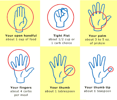 Weight Loss and Healthier Life: Portion Size by Hand