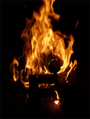 EL FUEGO: LA UTILIDAD Y PELIGROS DEL FUEGO