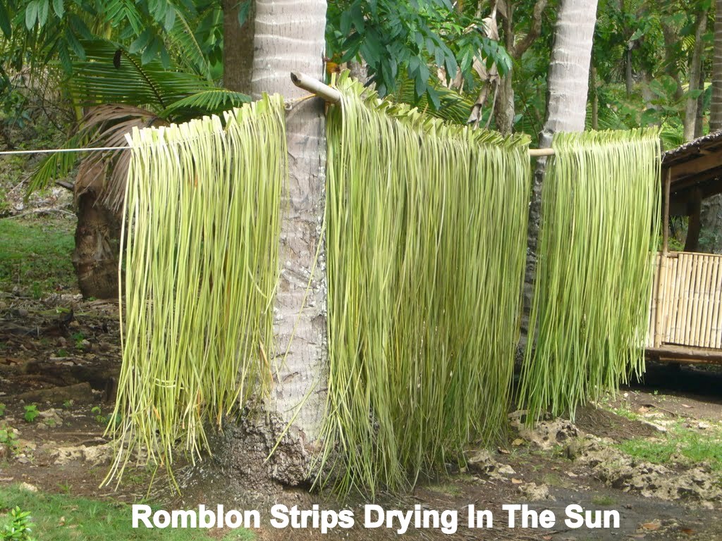 Good Sam Medical Mission: Good Samaritan Medical Mission Update ...