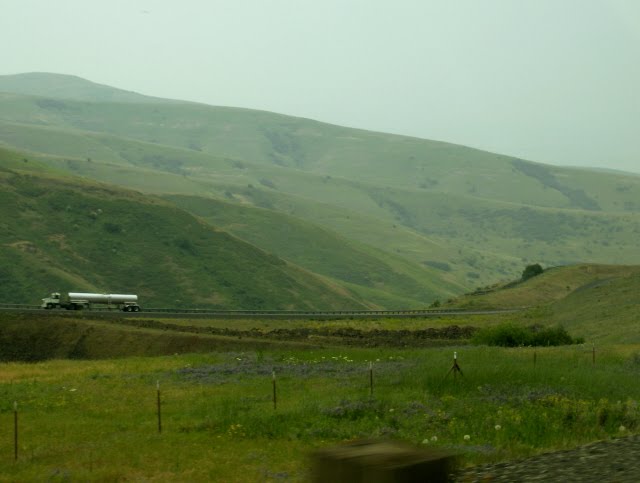 Aimee on the Mountainside: Climbing Life's Mountain: I Need, I Need