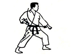 Karate dan Fisika