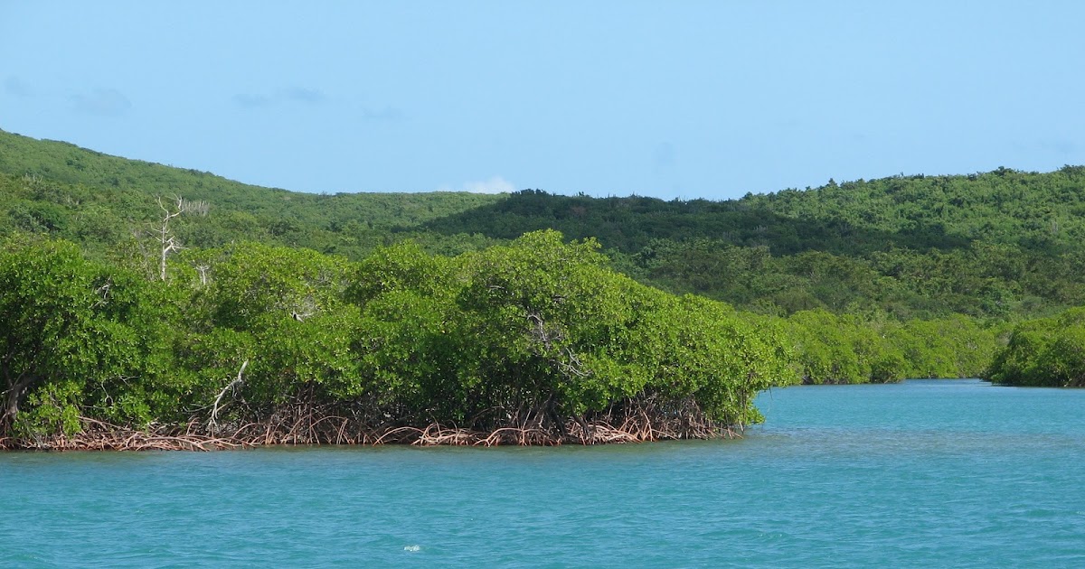 s/v Mowzer: Return to Culebra