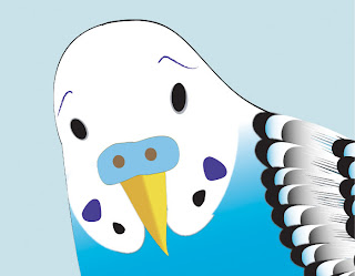 TamedLyon Design: Meet Shubi