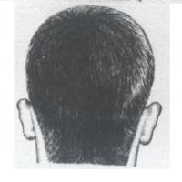 MI PEQUEÑO SPA FUENTE DE BELLEZA: Tipos de nucas