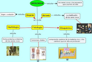 LA BIOLOGIA: La Biologia y sus ramas