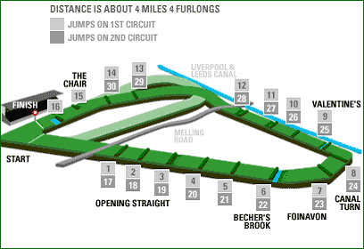 The Grand National | Pedranti Online