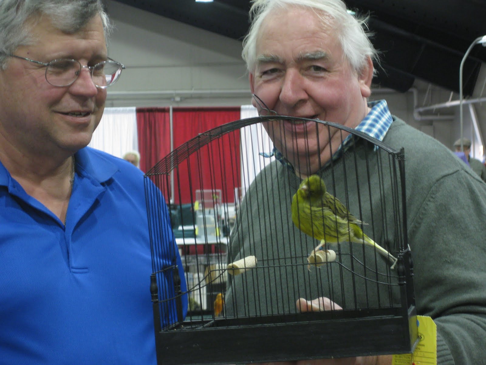 Canary Tales: At The Chicago Show