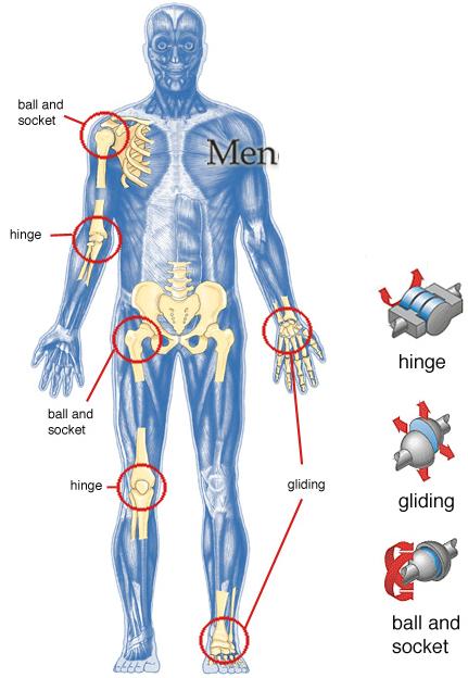 PHYSIO 360: Living with Arthritis