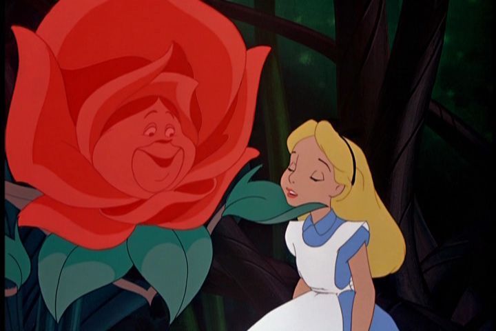 Wonderland Rose (With images) | Alice in wonderland 1951, Disney alice ...