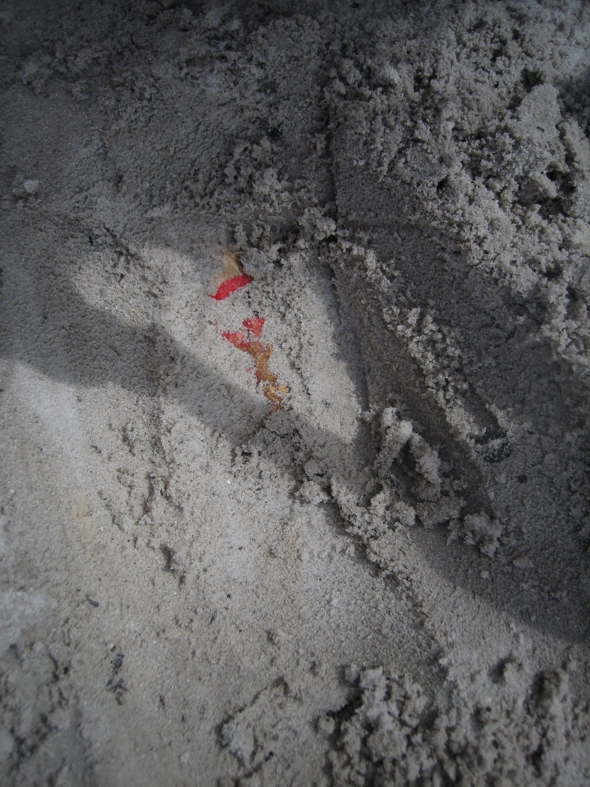 Homemade Dinosaur Fossil Dig - Mama to 6 Blessings