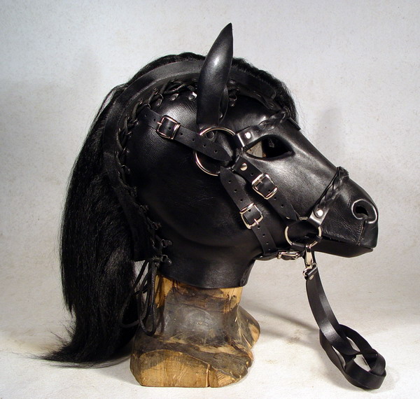 The Musings of Mistress Lady Wednesday: Anyone up for some pony play??