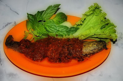 BADOKAN: BEBEK GORENG & PECEL LELE TUBAN