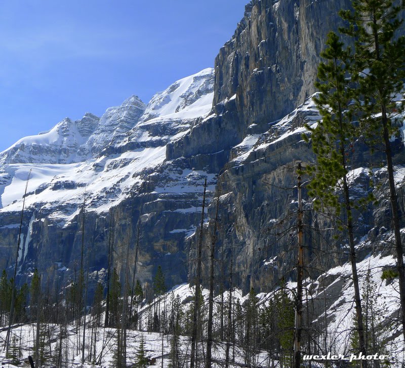 Mt. Stanley North Face - Global Alpine