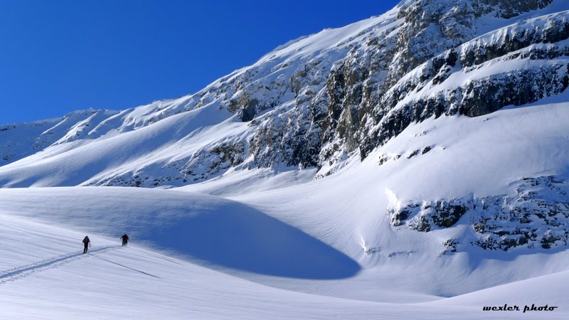 Skiing Mt Hector - Global Alpine