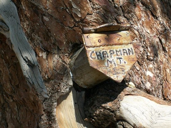 My Own 100 Hikes: Hike 61: Timber Mountain