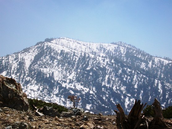 My Own 100 Hikes: Hike 61: Timber Mountain