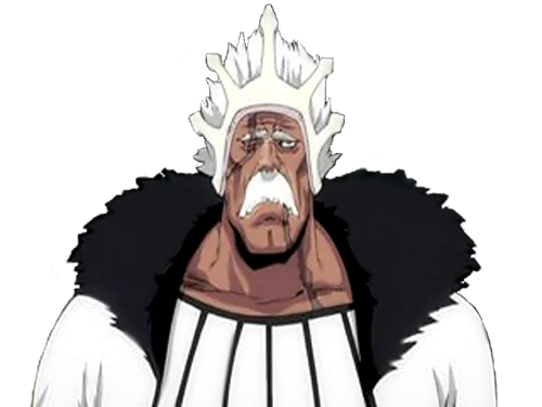 Bleach: Barragan Luisenbarn