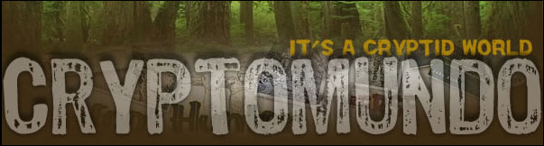 BIGFOOT'S bLOG: BIGFOOT OPINION: DISCOVERY VS. PROOF, BFF/BIGFOOT ...