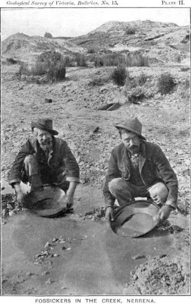 Bushrangers: Fossicking for gold in Australia in the 1800's