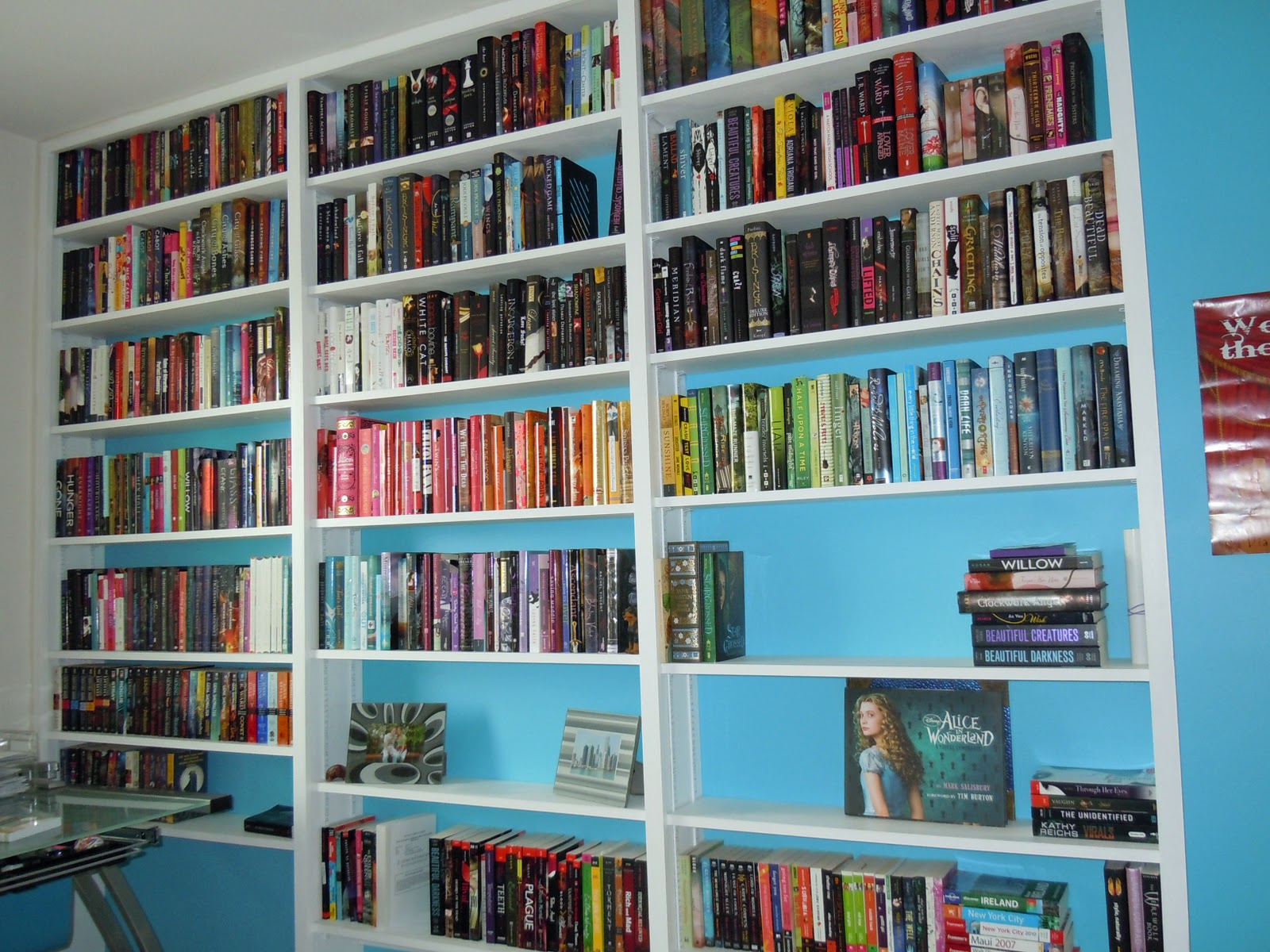 Badass Bookie: YA Blogger's Book Shelf #1 - The Story Siren (!!!)