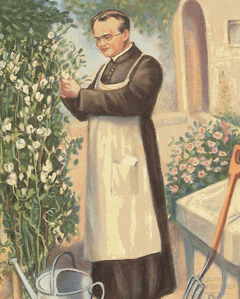 biologia_justiceiro: Gregor Johann Mendel