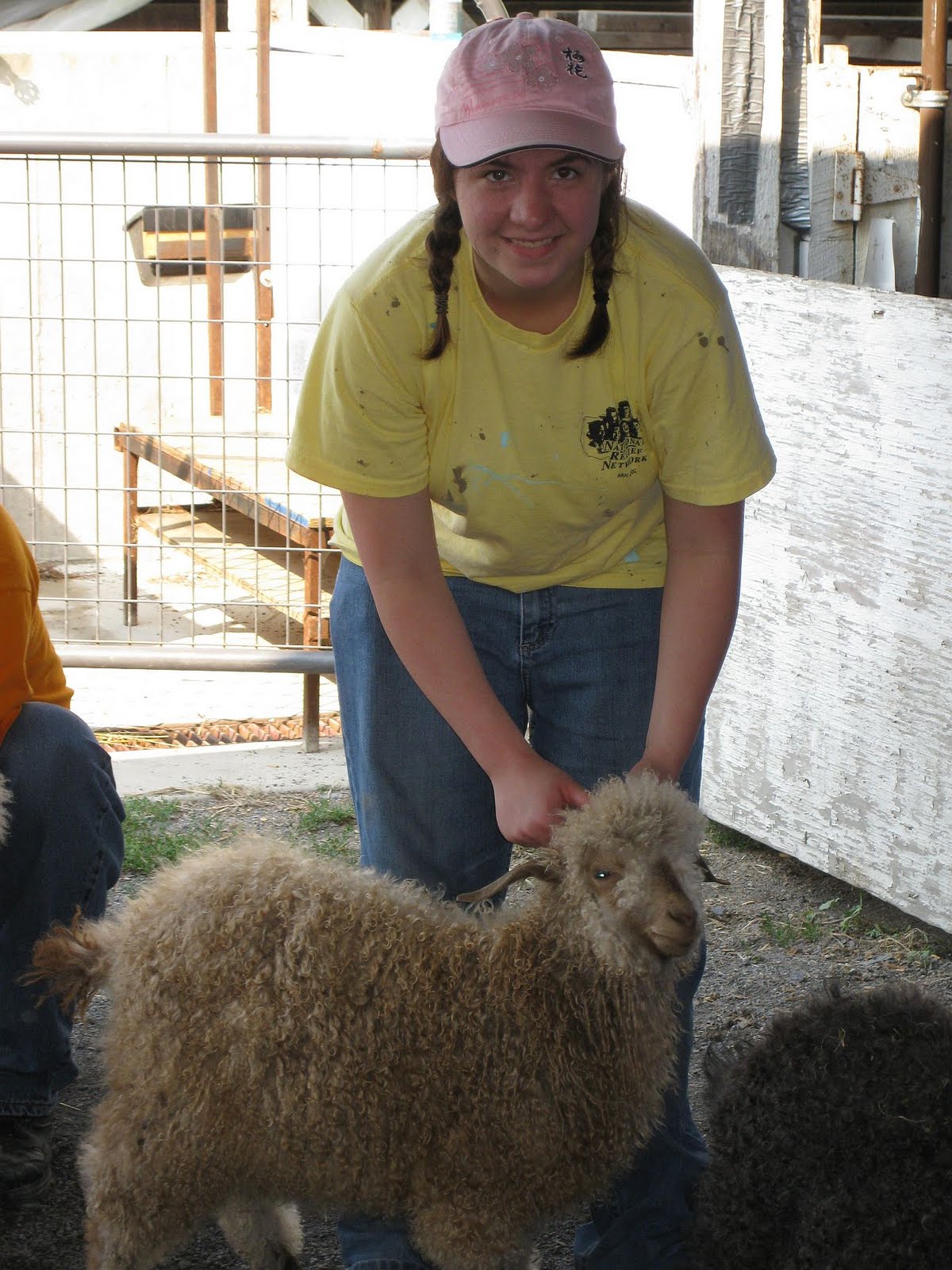 Have Ewe Any Wool?: EAGMA