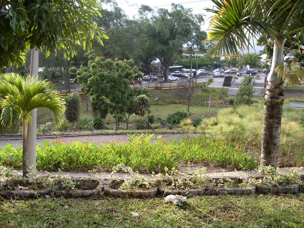 Parque lineal La Presidenta