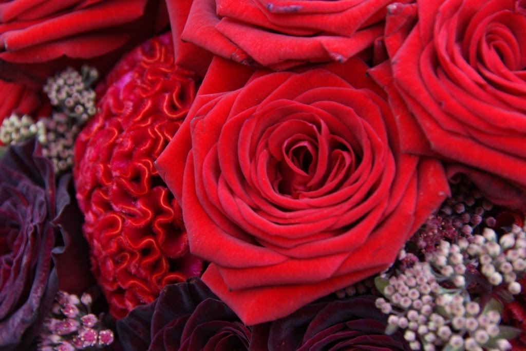 Vicki White Floral Design: Jane Packer's Flower School