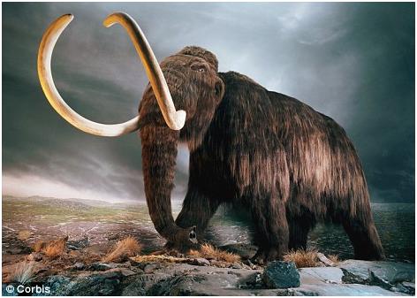 bla bla bla....: mamute