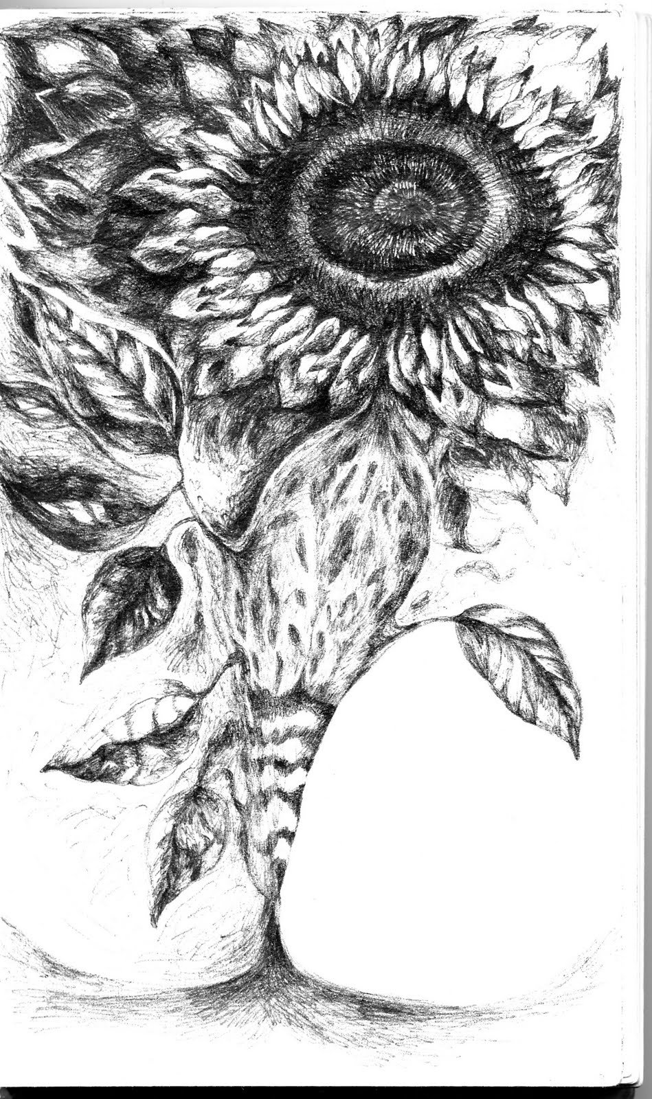 Susan Garson: New Drawings