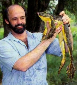 The XO Directory: Goliath Frog of West Africa, World's Largest Frog Species