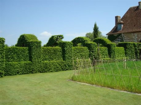 CIVITATE : CERCA VIVA GARANTE PRIVACIDADE E SEGURANÇA