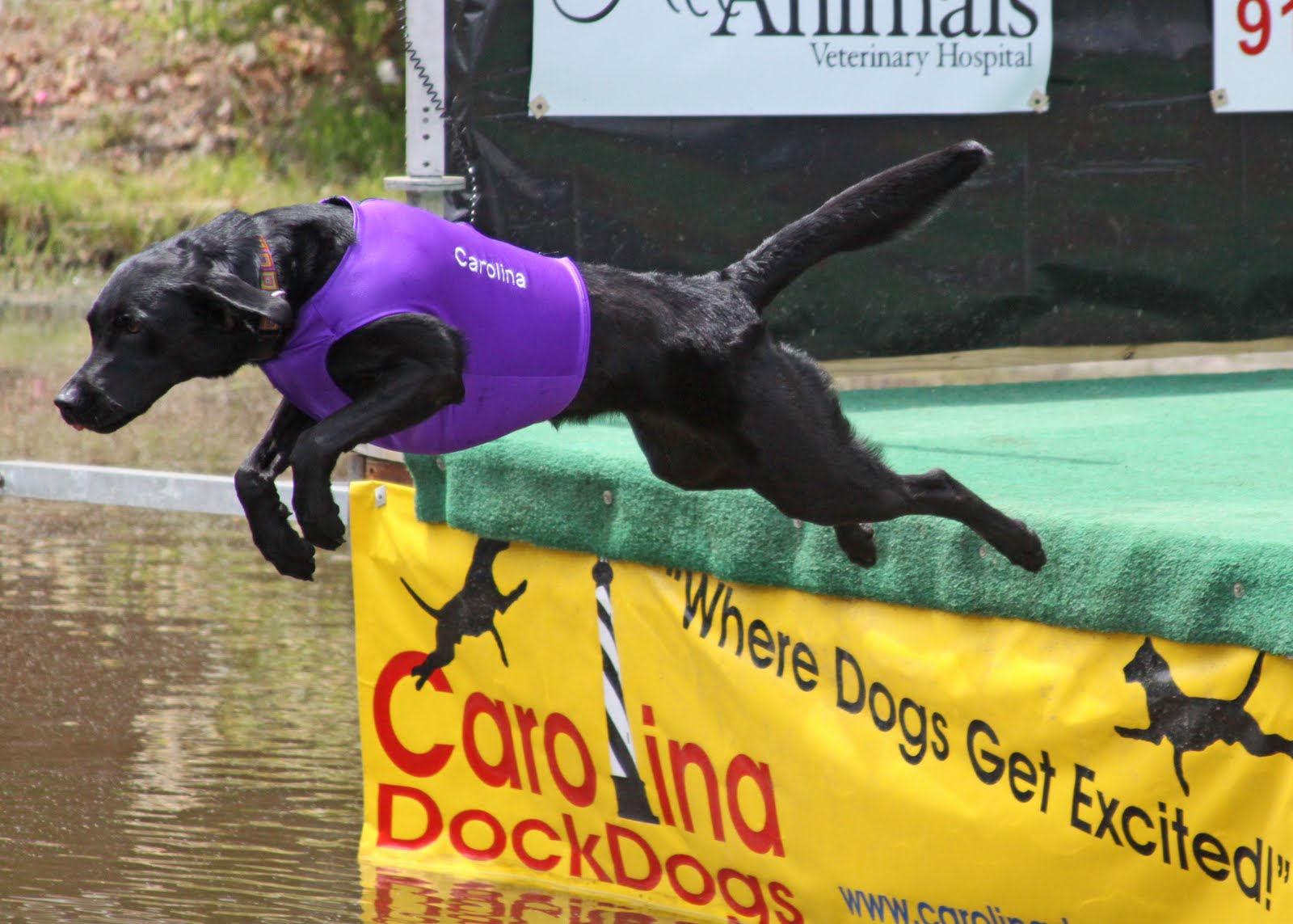 Las Vegas DockDogs Blog: Meet 'Cara' and Steph from the Carolina ...