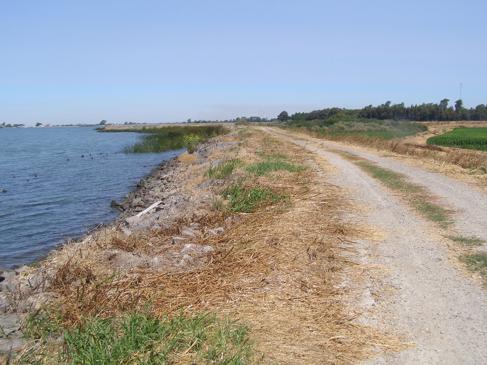 The California Spigot: VITAL WORK STALLED ON LEVEES IN CALIFORNIA DELTA