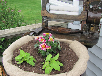 Coleen's Corner: Washing Machine Planter