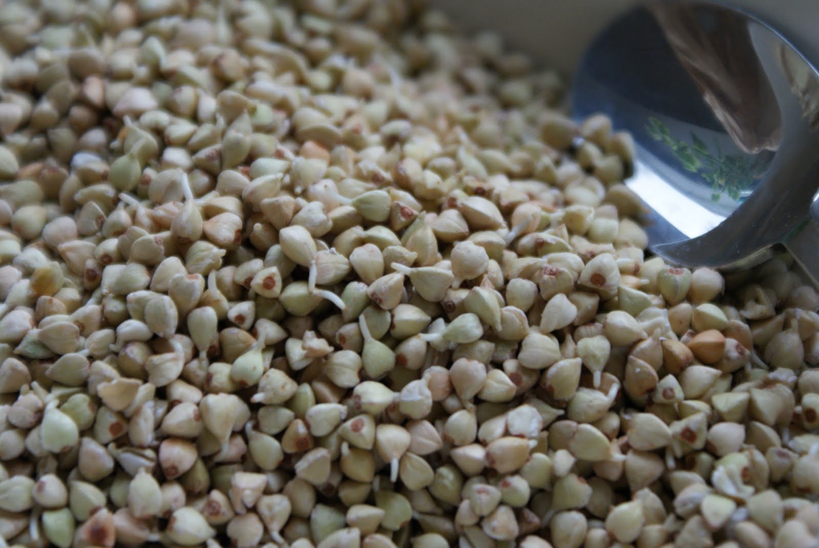 Keittiökameleontti: Iisejä ituja ja vähän muutakin