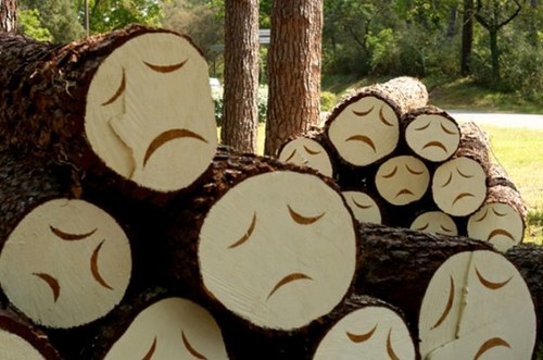 Morning Energizer: Sad Trees