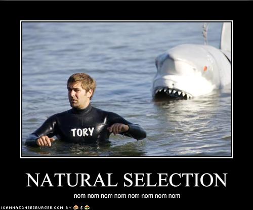 Mr Turtle goes to the Station: The Theory of Natural Selection.