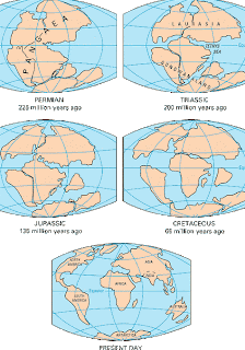 Anything "U" Need: Plate Tectonics - Pangaea Continent Maps