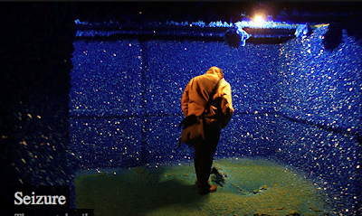 CAMPAIGN: Campaign Visits//Roger Hiorns - Seizure, Elephant & Castle