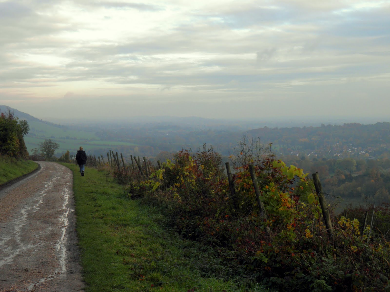 Rambling On...: Hampstead Ramblers enjoy the Autumn colours